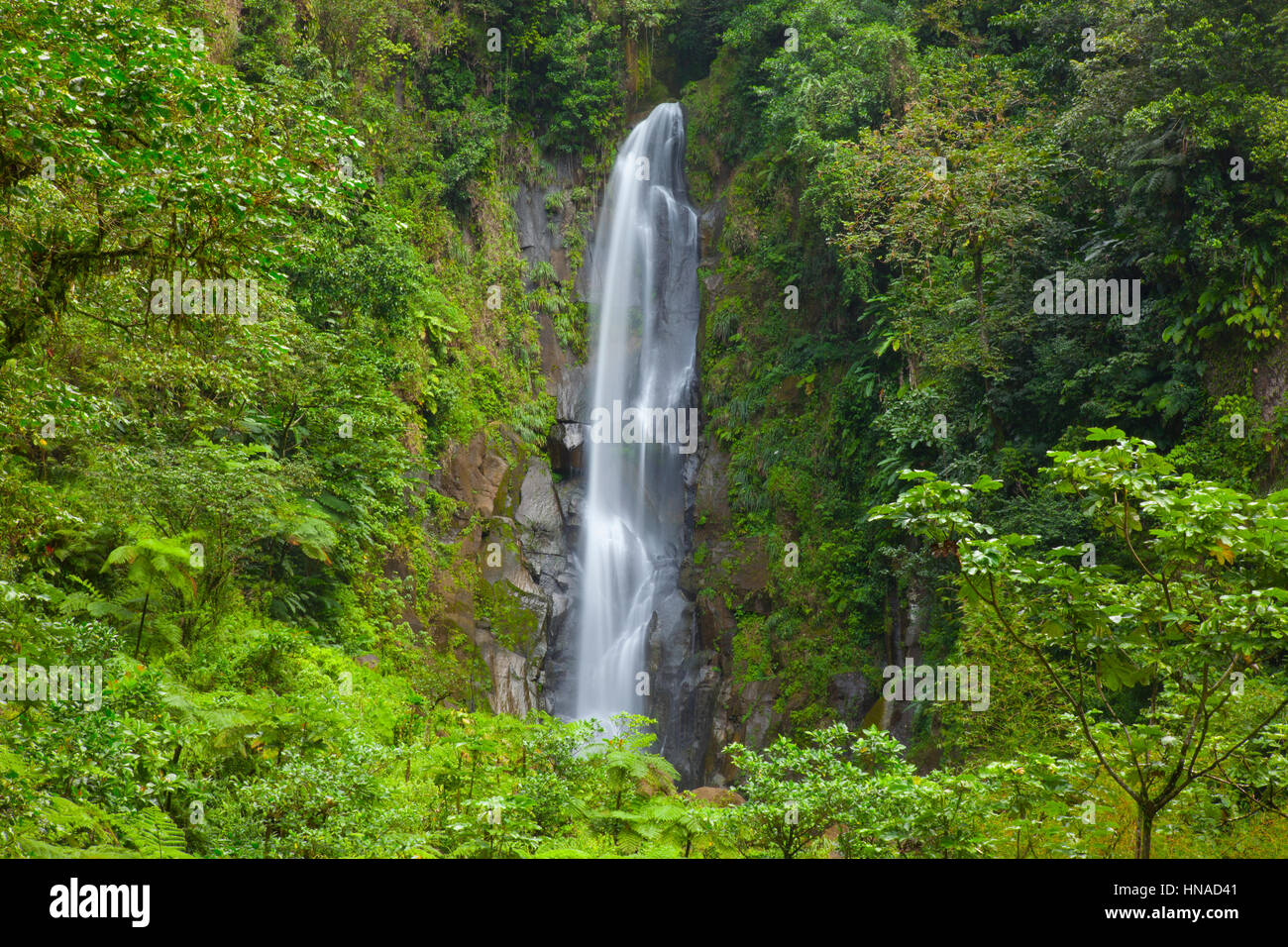 Majestic pitons hi-res stock photography and images - Alamy
