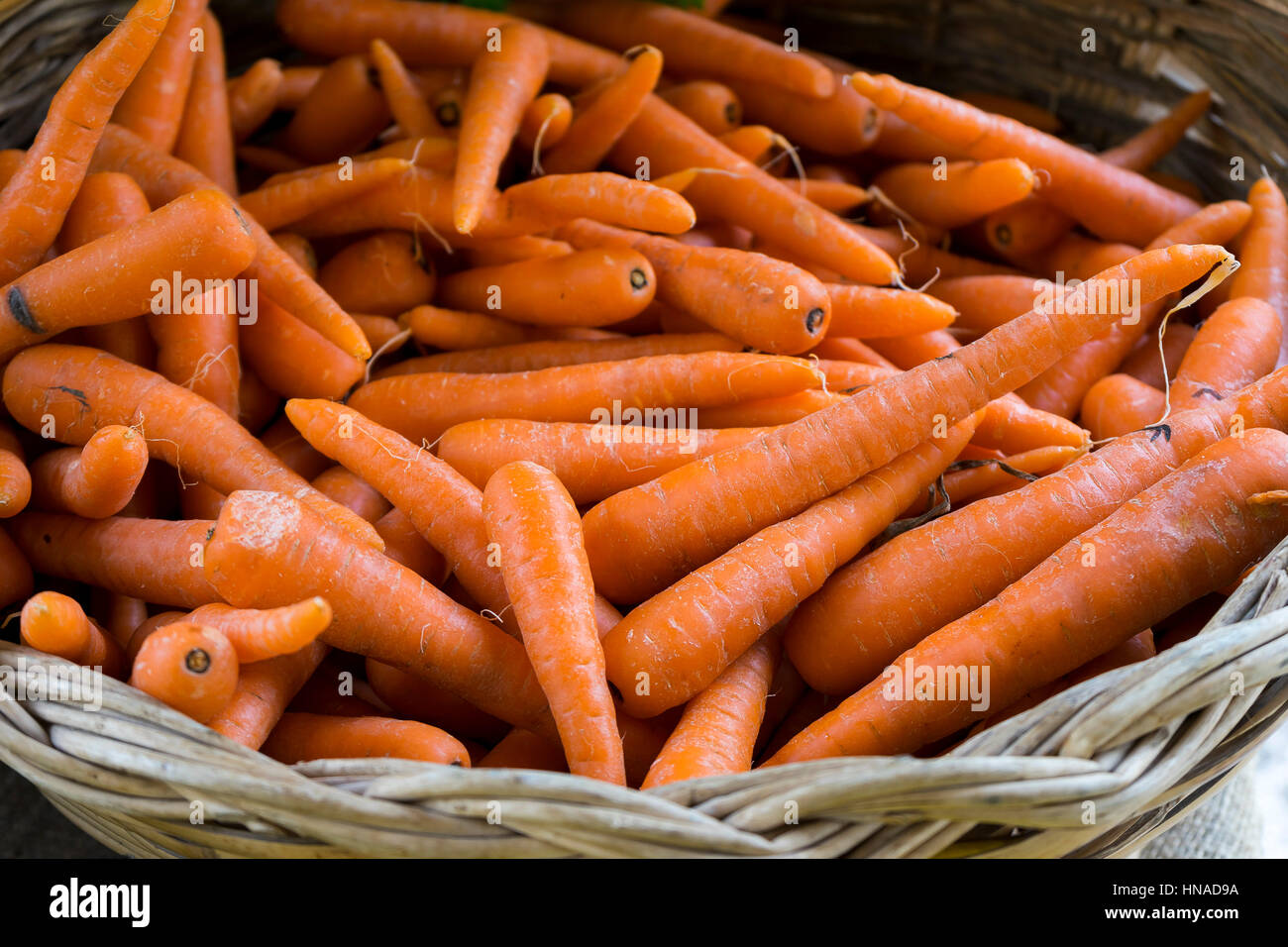Bunched carrot hi-res stock photography and images - Alamy