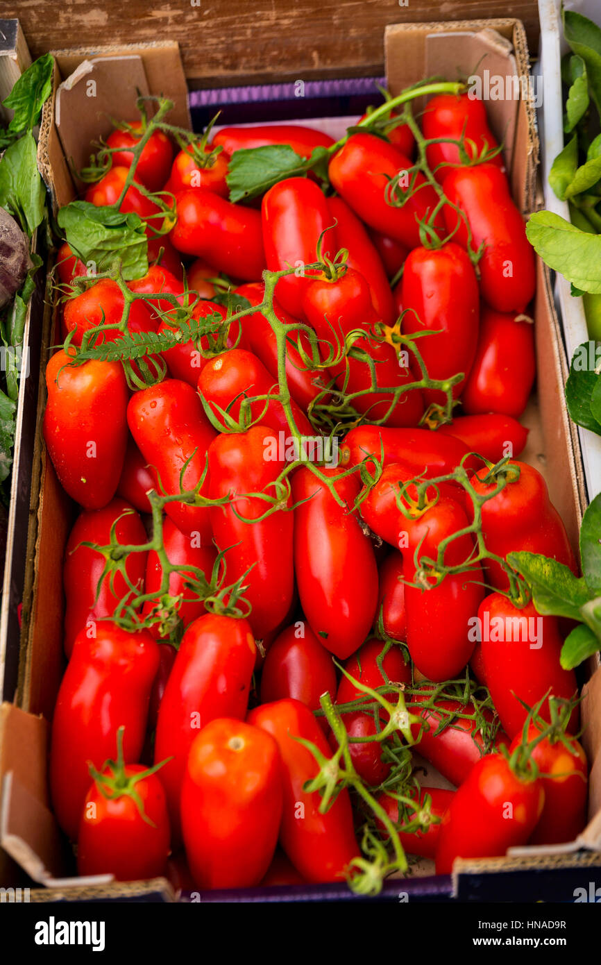 Italian tomatoes. Italy Stock Photo - Alamy