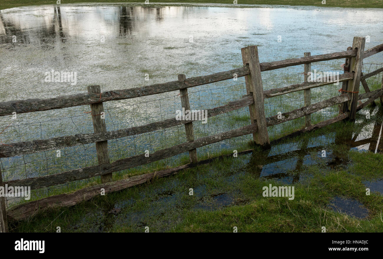 Fields on Romney Marsh following heavy rain fall.old fences needing a ...