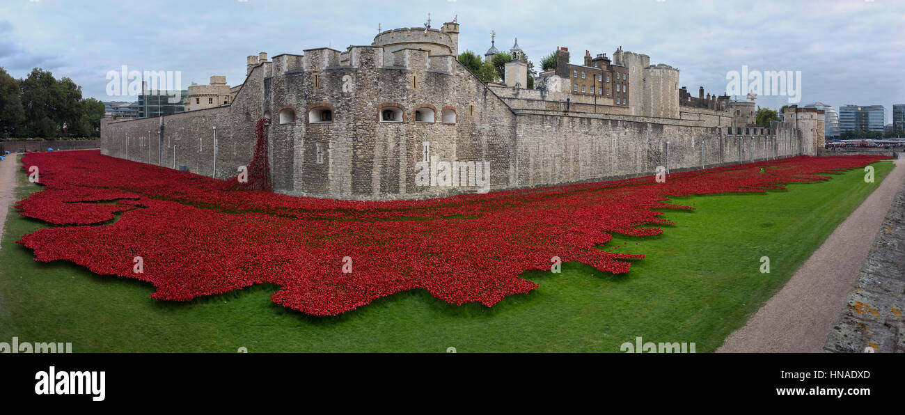 Tower Of London Poppy Display 2014 Stock Photo - Alamy