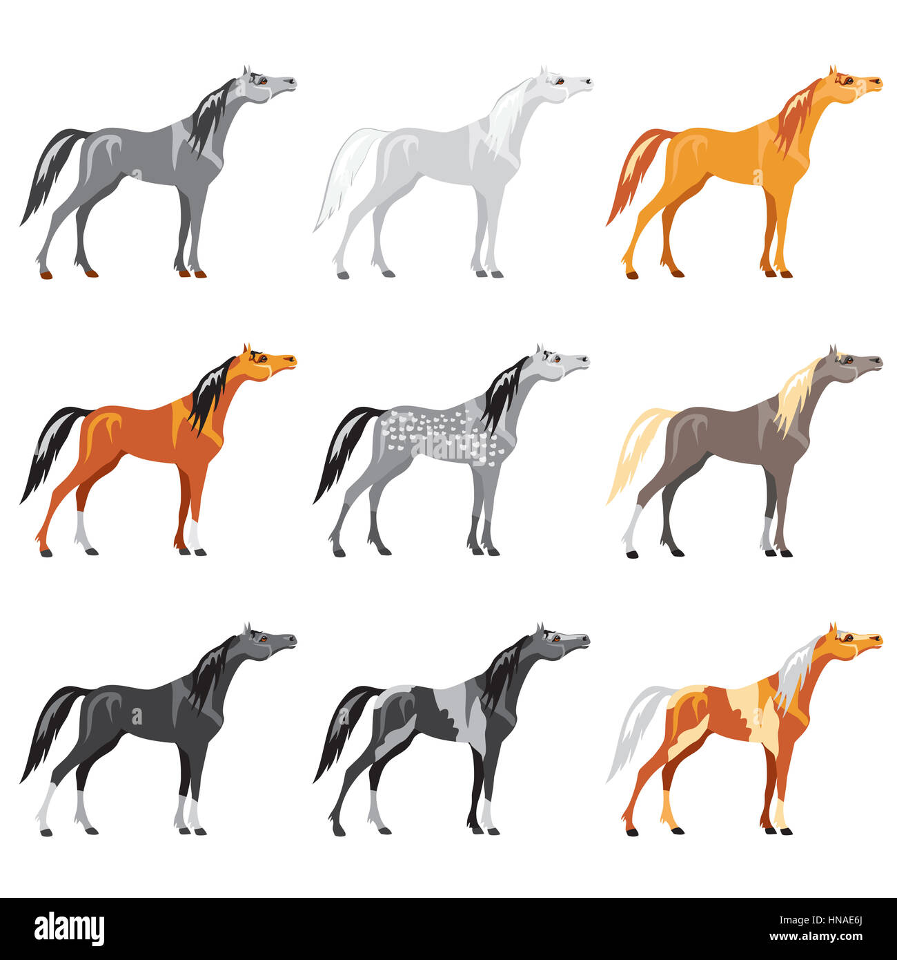 Vector illustrated Set of colorful horses Stock Photo - Alamy