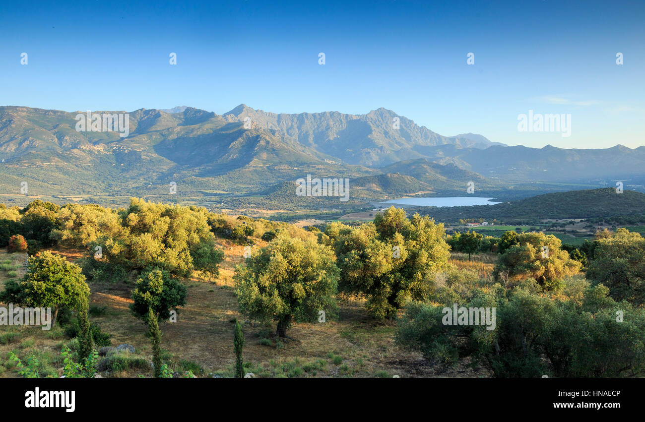 Mountain view from Monticello towards Speloncato, The Balagne,Corsica ...
