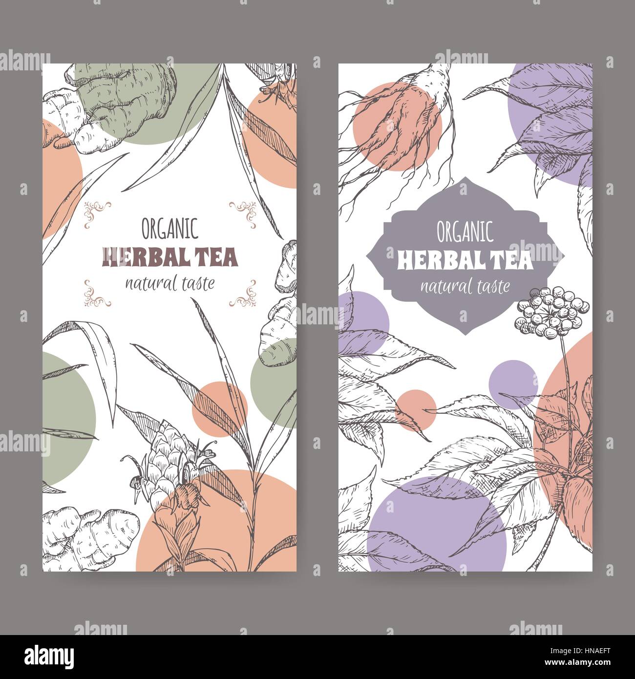 Set of two vector herbal tea labels with ginger and ginseng hand drawn ...