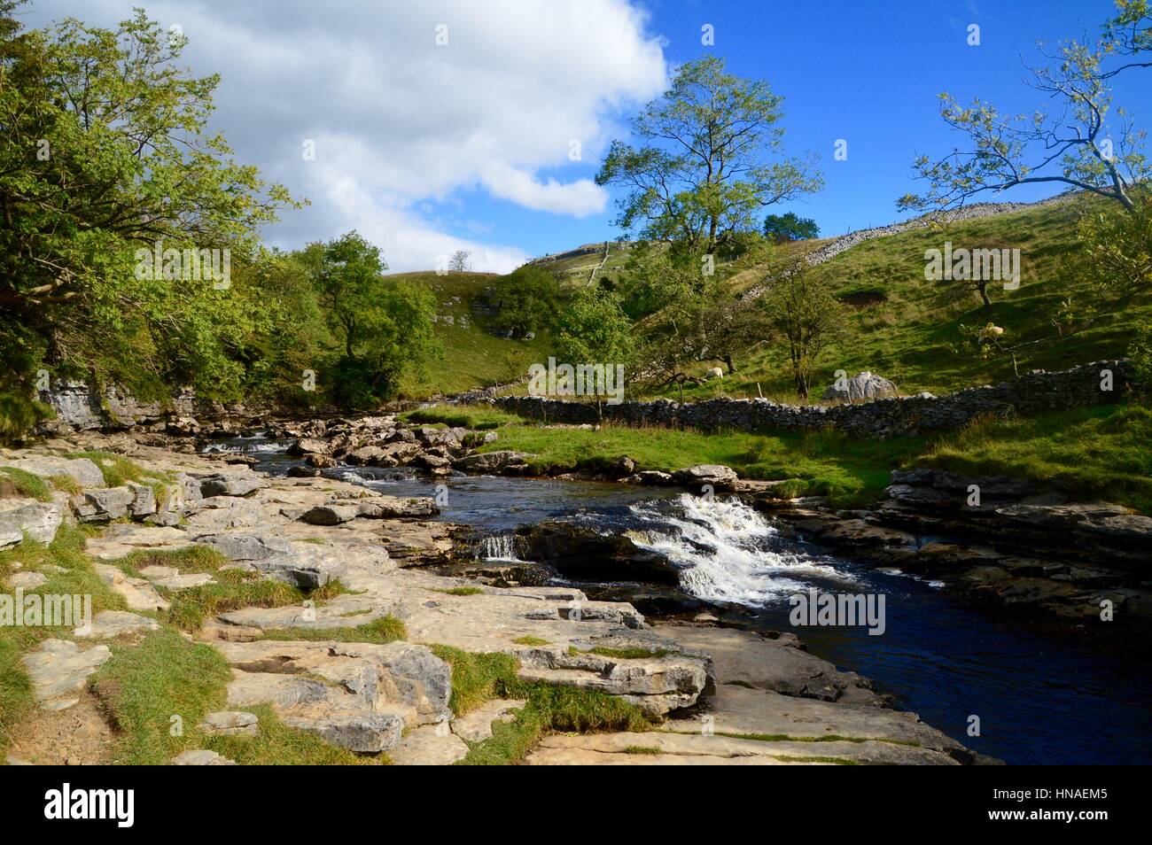 Ingleton yorkshire sheep hi-res stock photography and images - Alamy