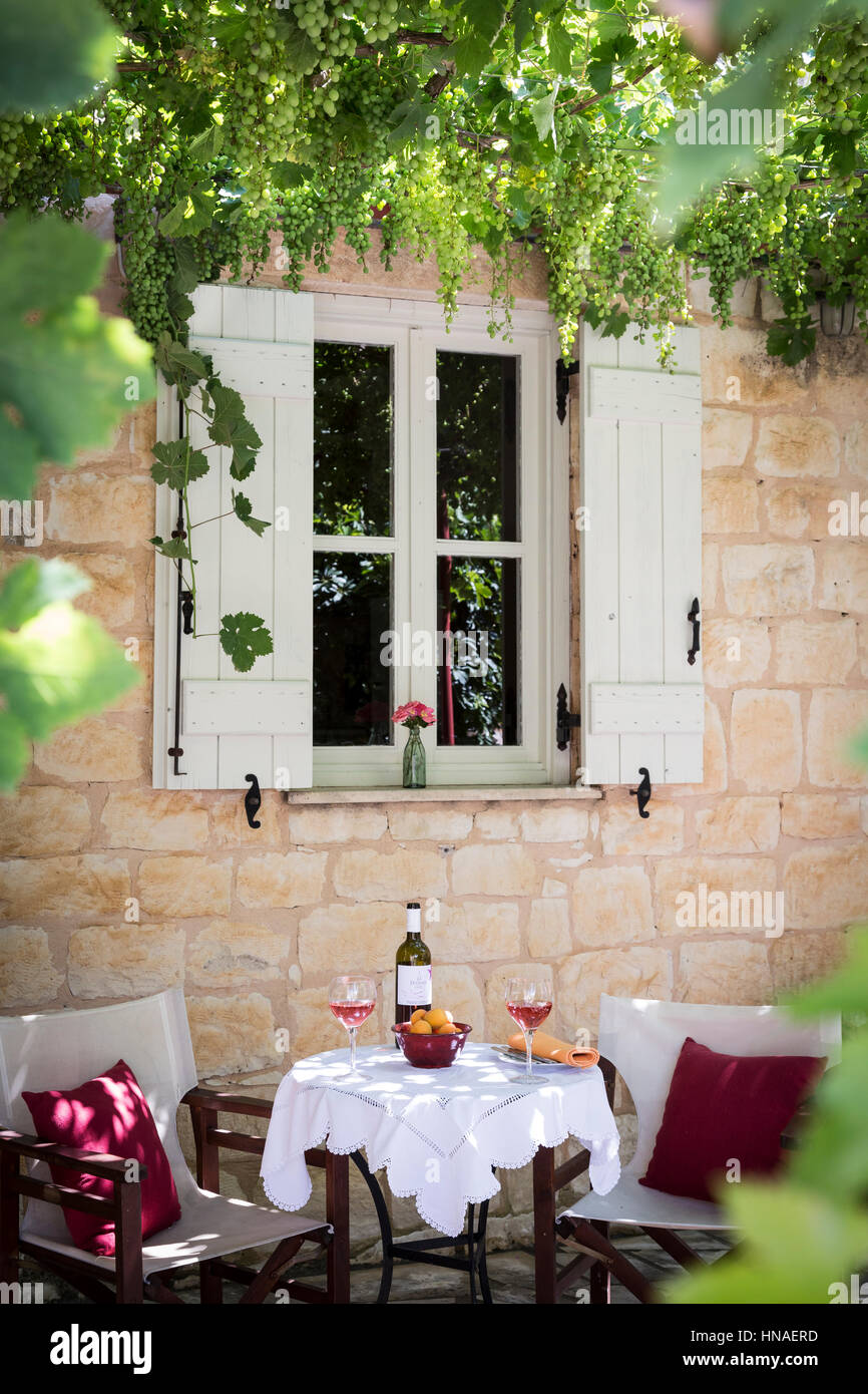 Summer in vines grapes hi-res stock photography and images - Alamy