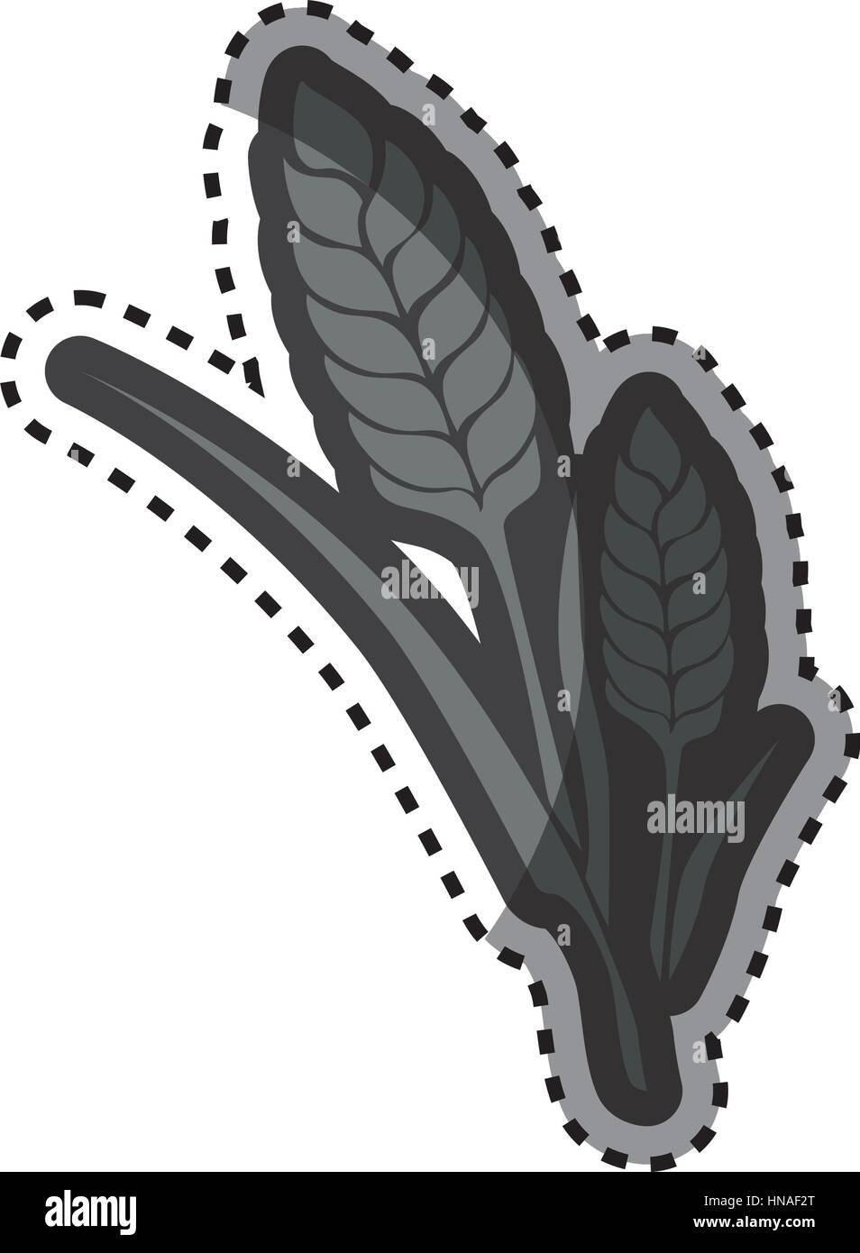 rice plant isolated icon vector illustration design Stock Vector Image ...