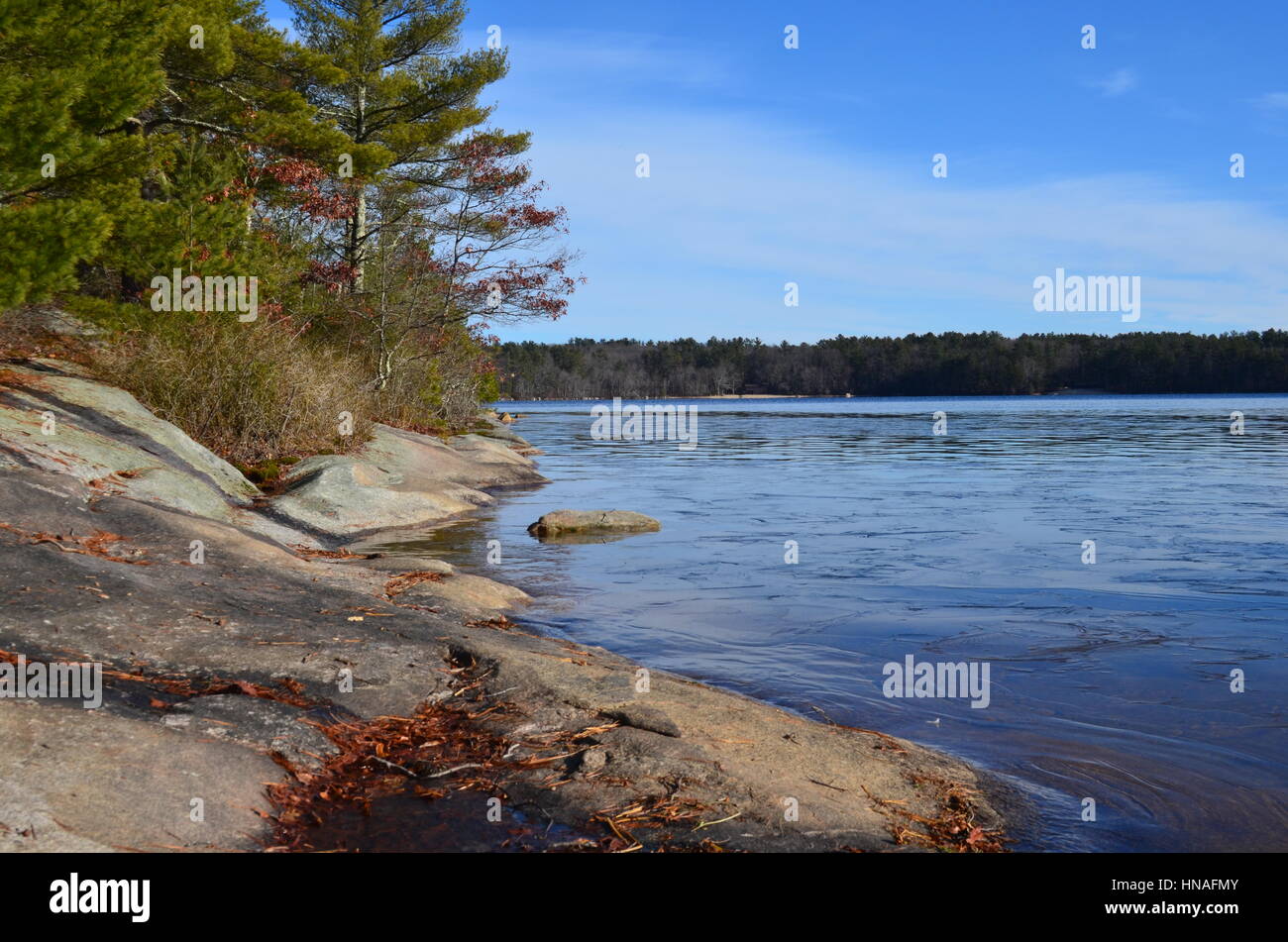Trees and rocks near lake Stock Photo - Alamy