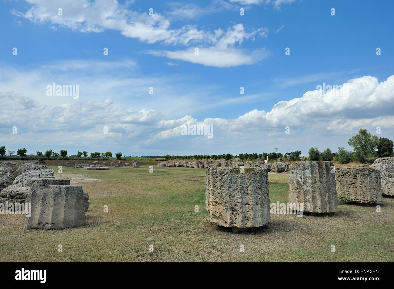 Metaponto ruins Basilicata Italy Stock Photo - Alamy