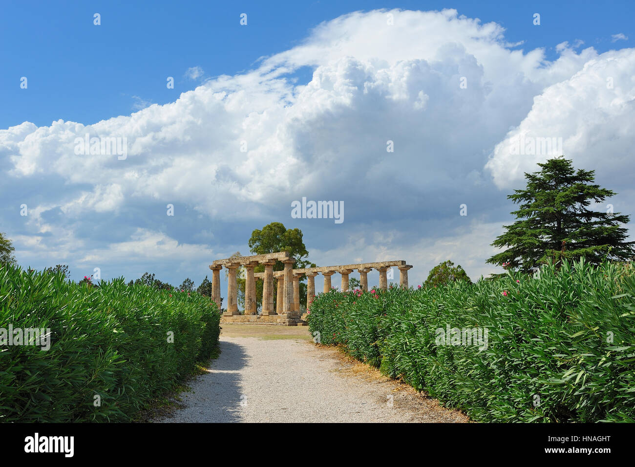 Metaponto ruins Basilicata Italy Stock Photo - Alamy