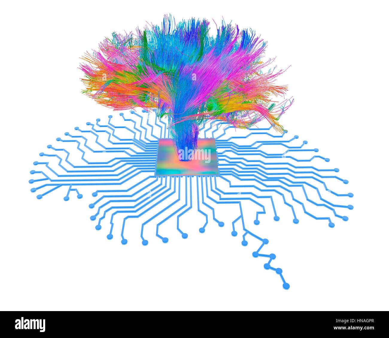 Connectome hi-res stock photography and images - Alamy