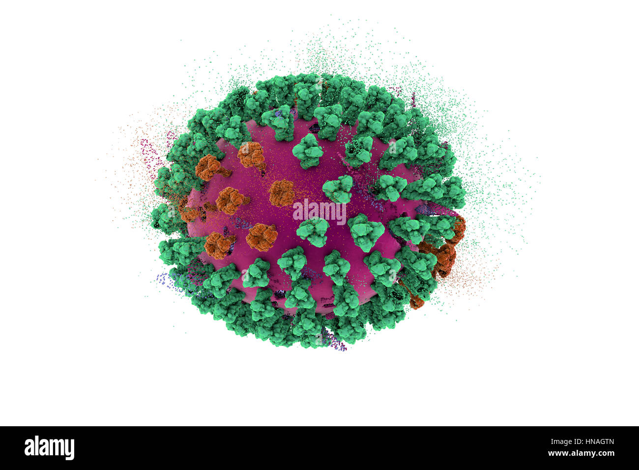 Destruction of bird flu virus, conceptual 3D illustration. This is an ...