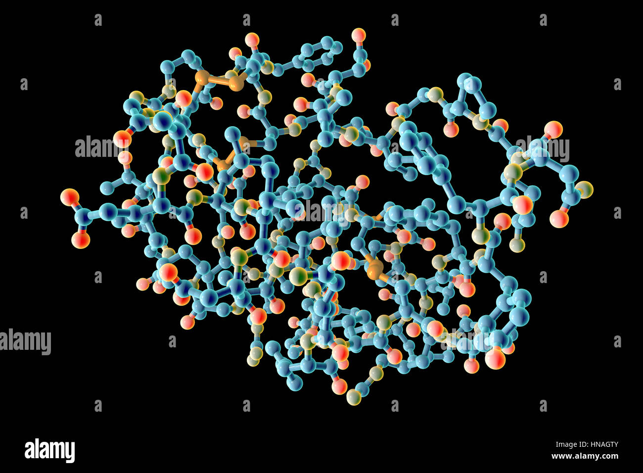 Insulin-like growth factor 1 (IGF-1), molecular model. IGFs are ...