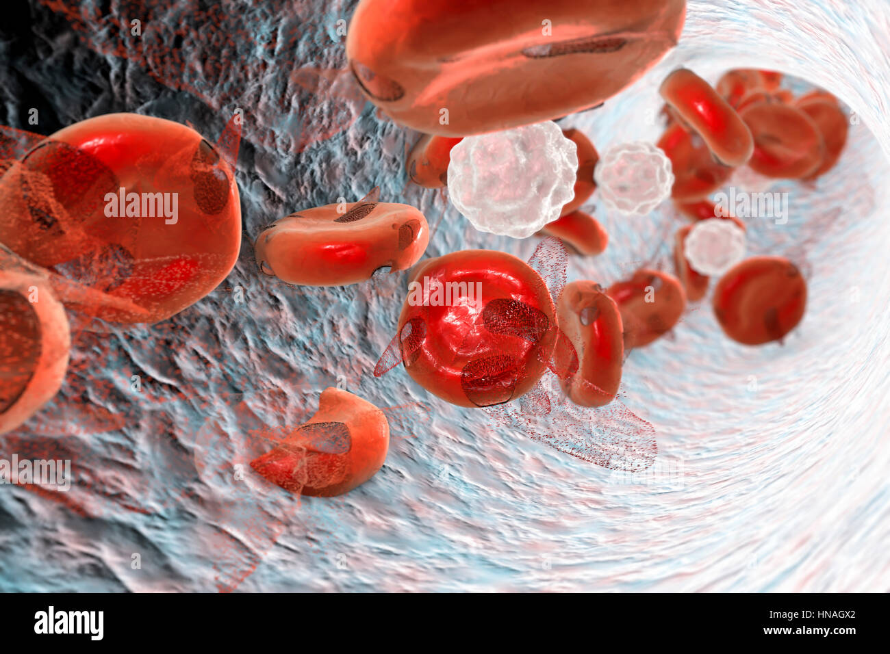 Destruction of red blood cells, computer illustration. Conceptual image ...