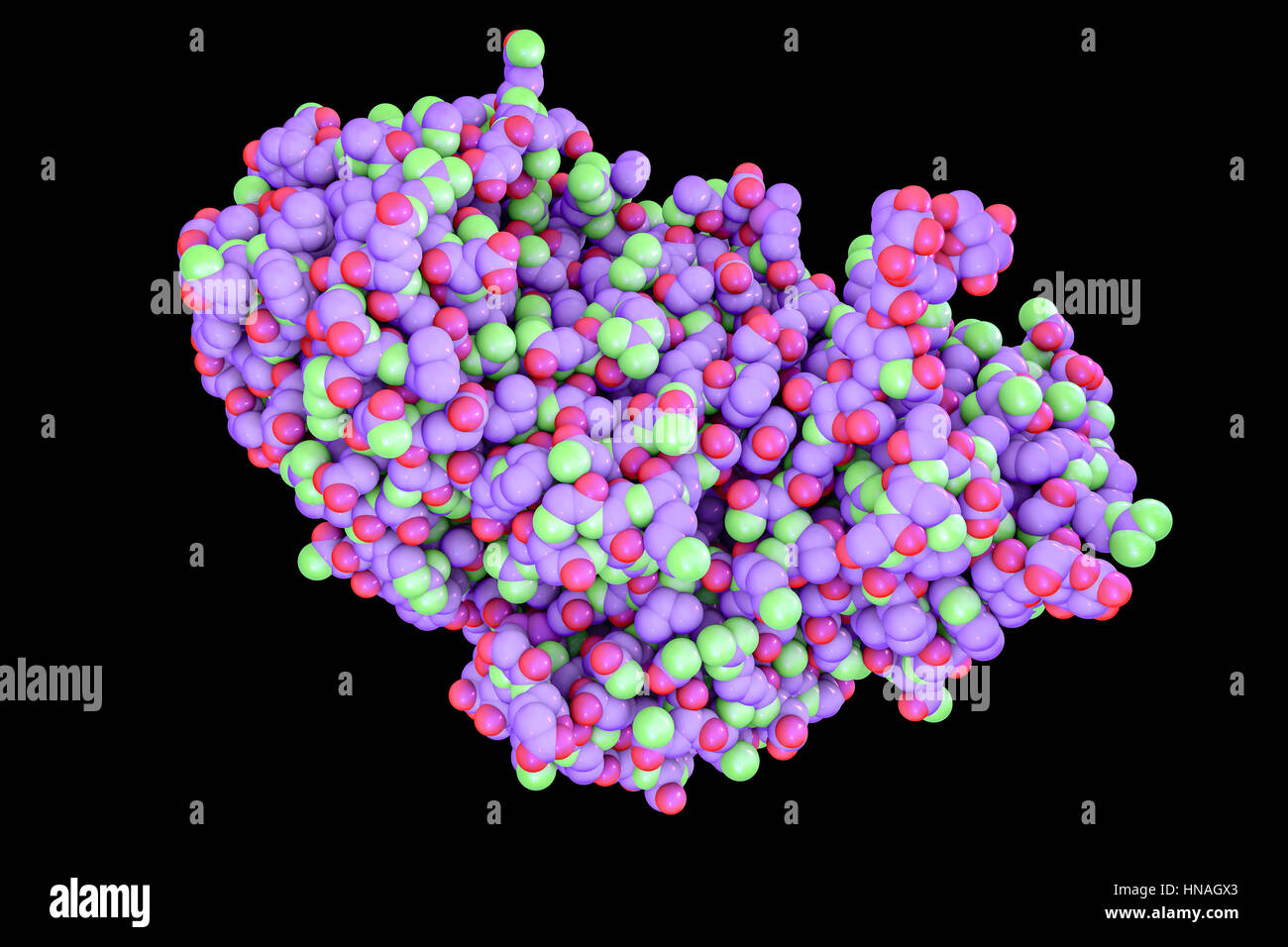 Ribosome inactivating protein hi-res stock photography and images - Alamy