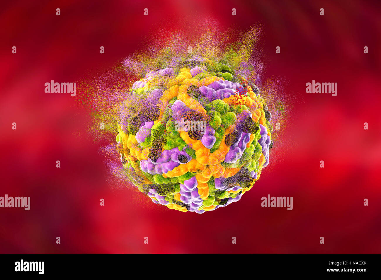 Destruction Of The Virus High Resolution Stock Photography and Images ...