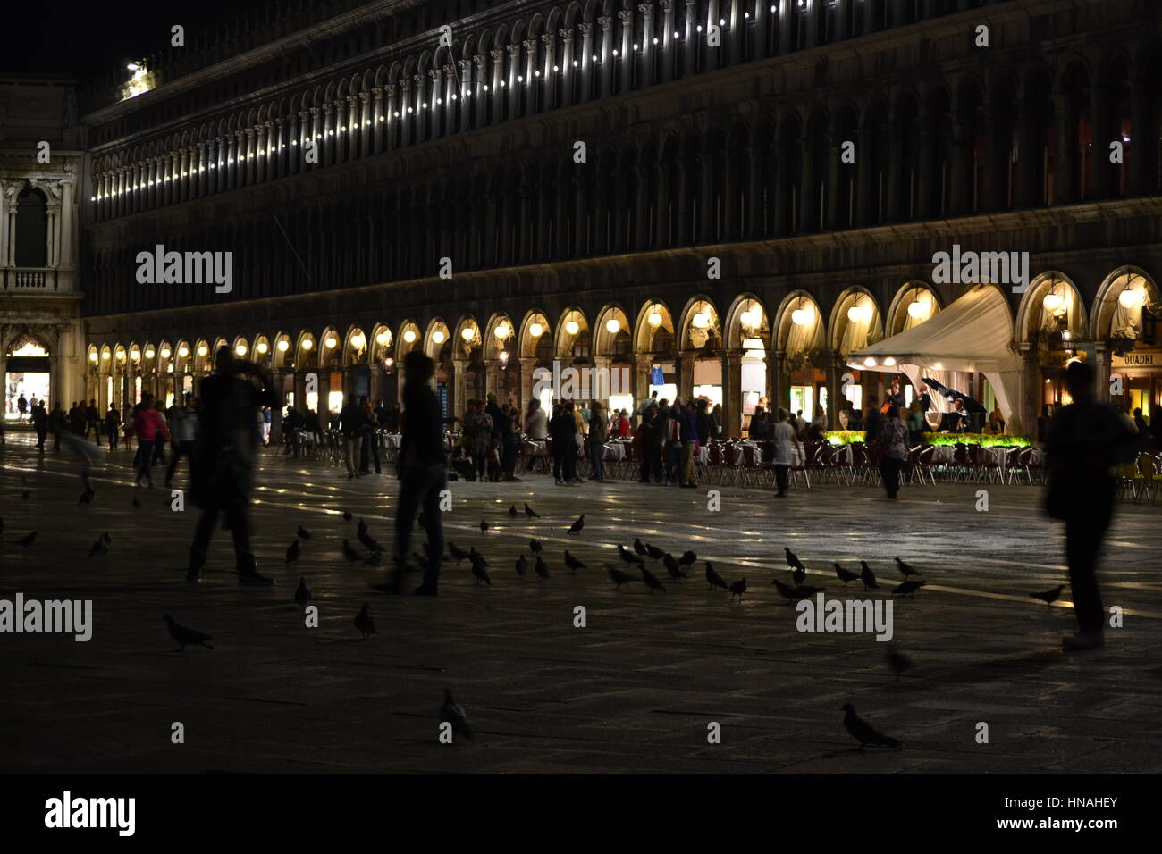 Piazza San Marco Venice Stock Photo - Alamy