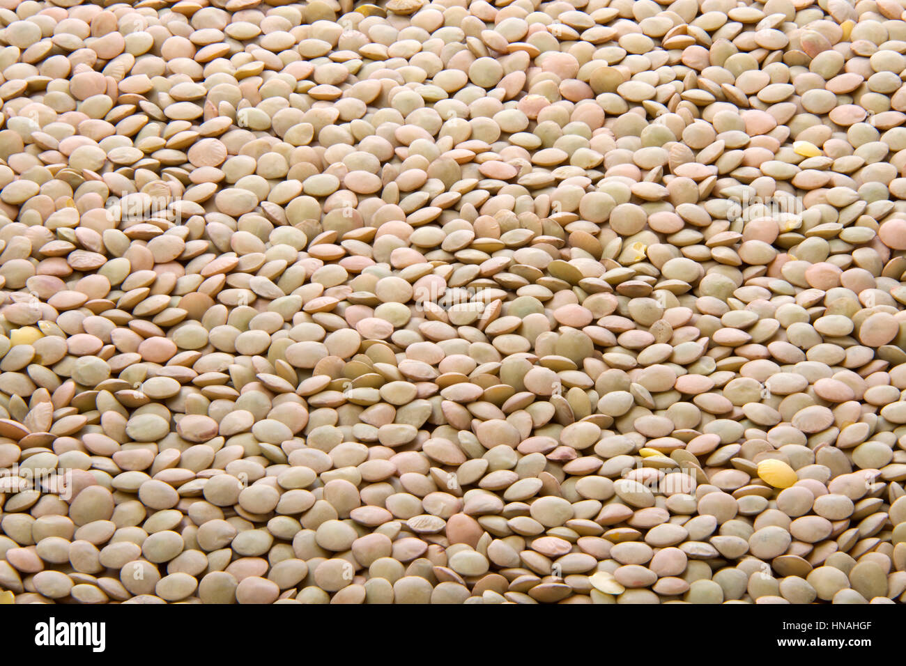 Background of Lentil beans Stock Photo - Alamy