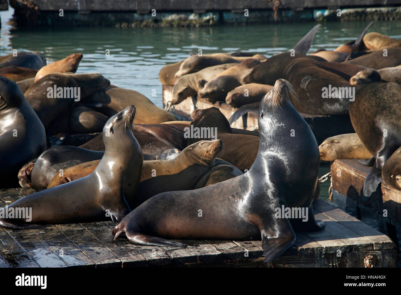 Floating platforms hi-res stock photography and images - Alamy