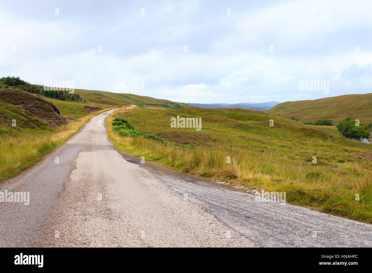 Sheep by the sea scottish highlands hi-res stock photography and images ...