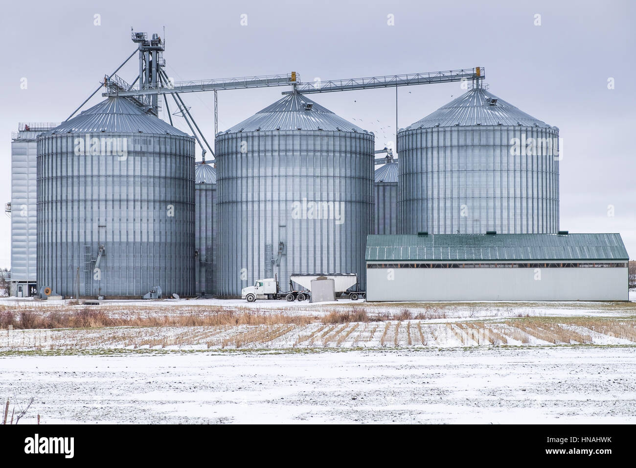 Large grain elevators silver granary hi-res stock photography and ...