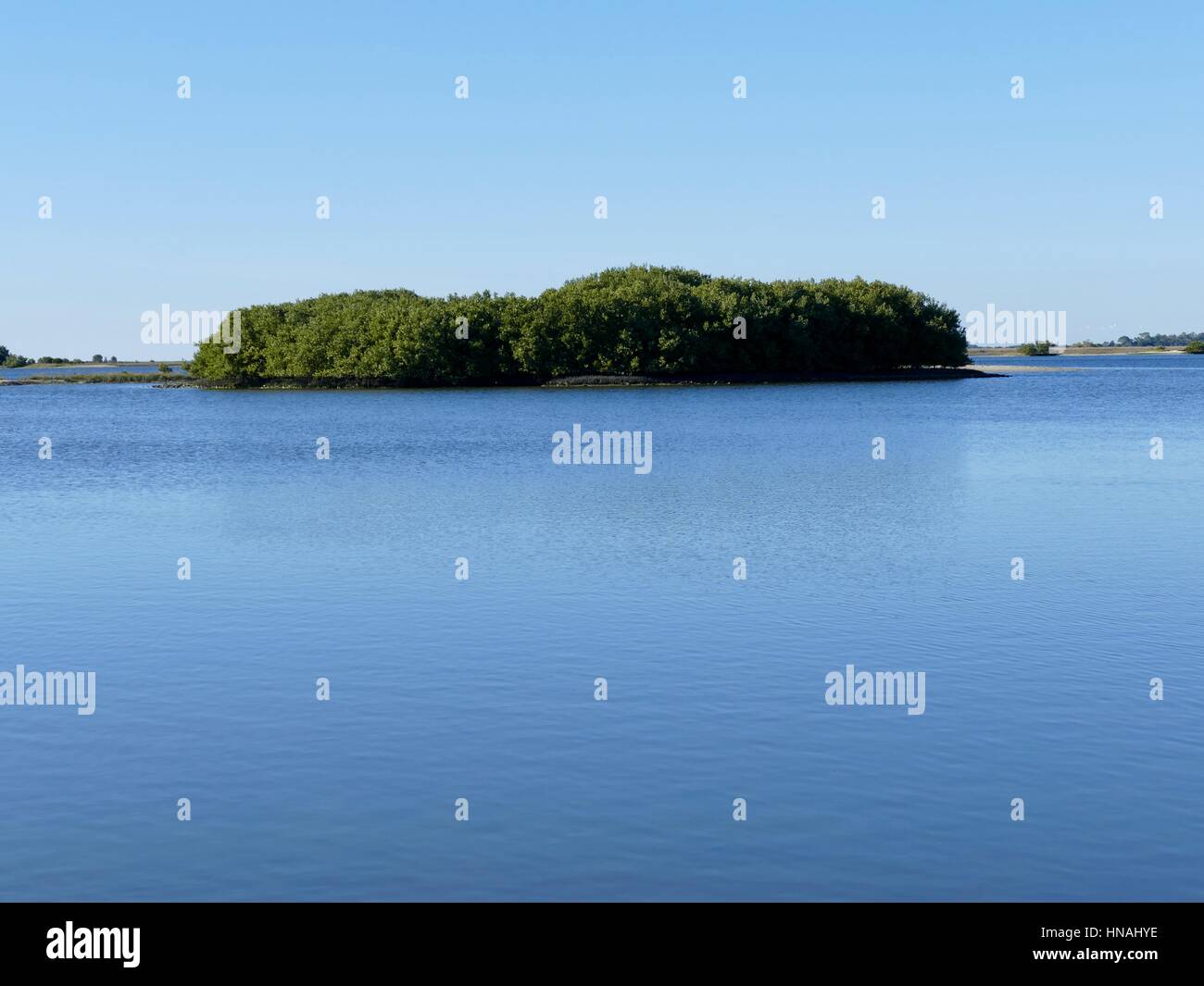 Mangrove islands hi-res stock photography and images - Alamy