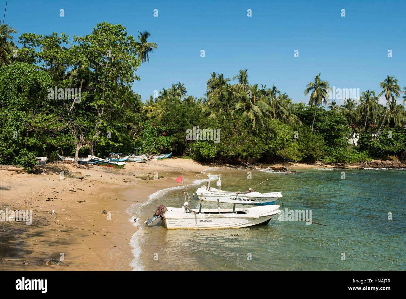 Beach at Dondra near Matara, Sri Lanka Stock Photo - Alamy