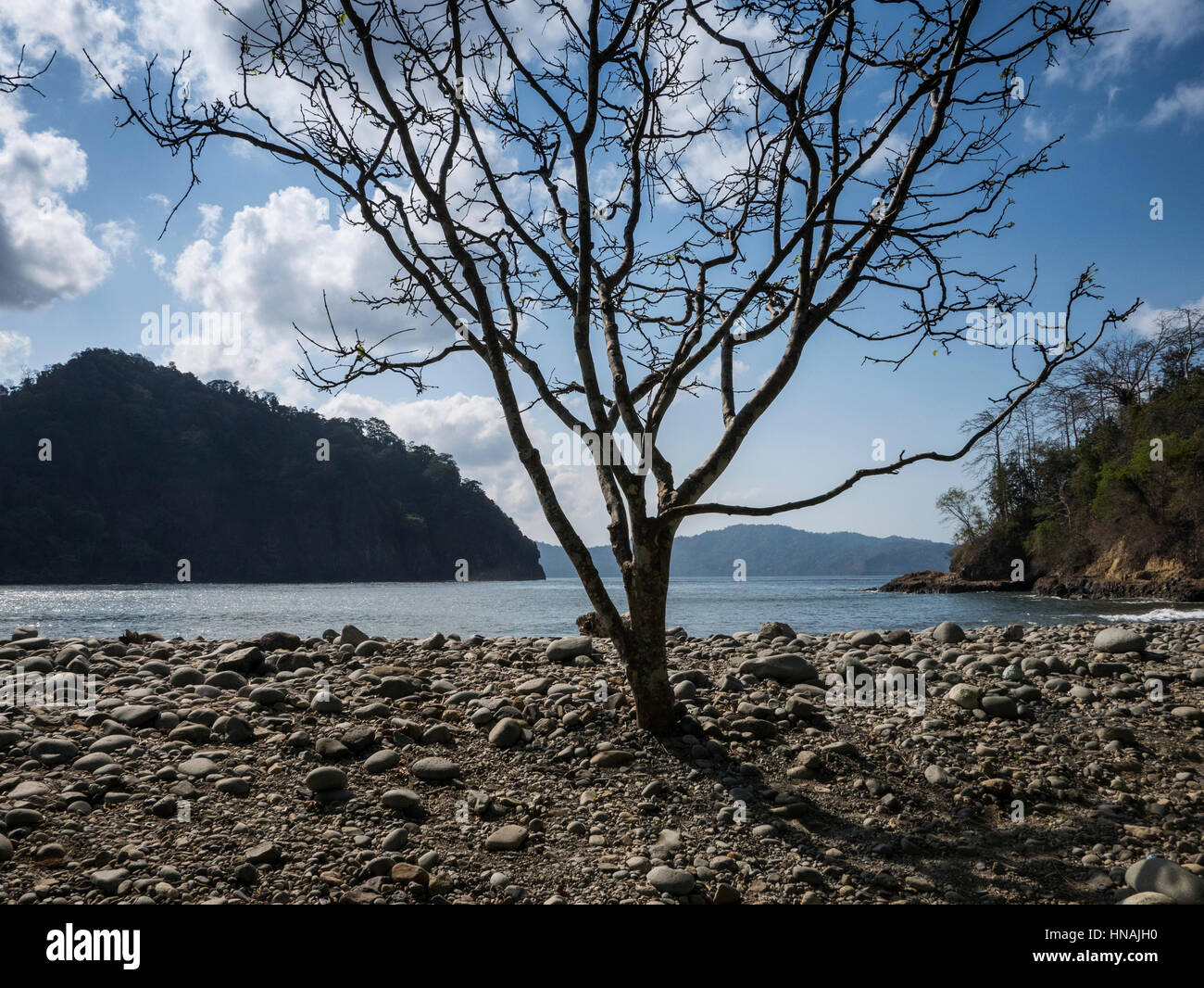 Indonesia, East Java, Banyuwangi, Teluk Ijo beach Stock Photo - Alamy