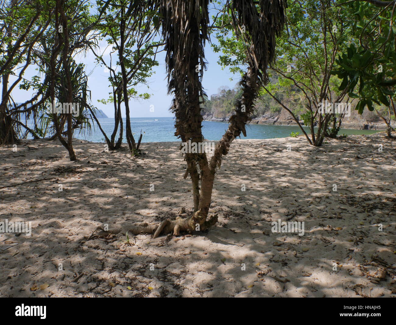 Indonesia, East Java, Banyuwangi, Teluk Ijo beach Stock Photo - Alamy