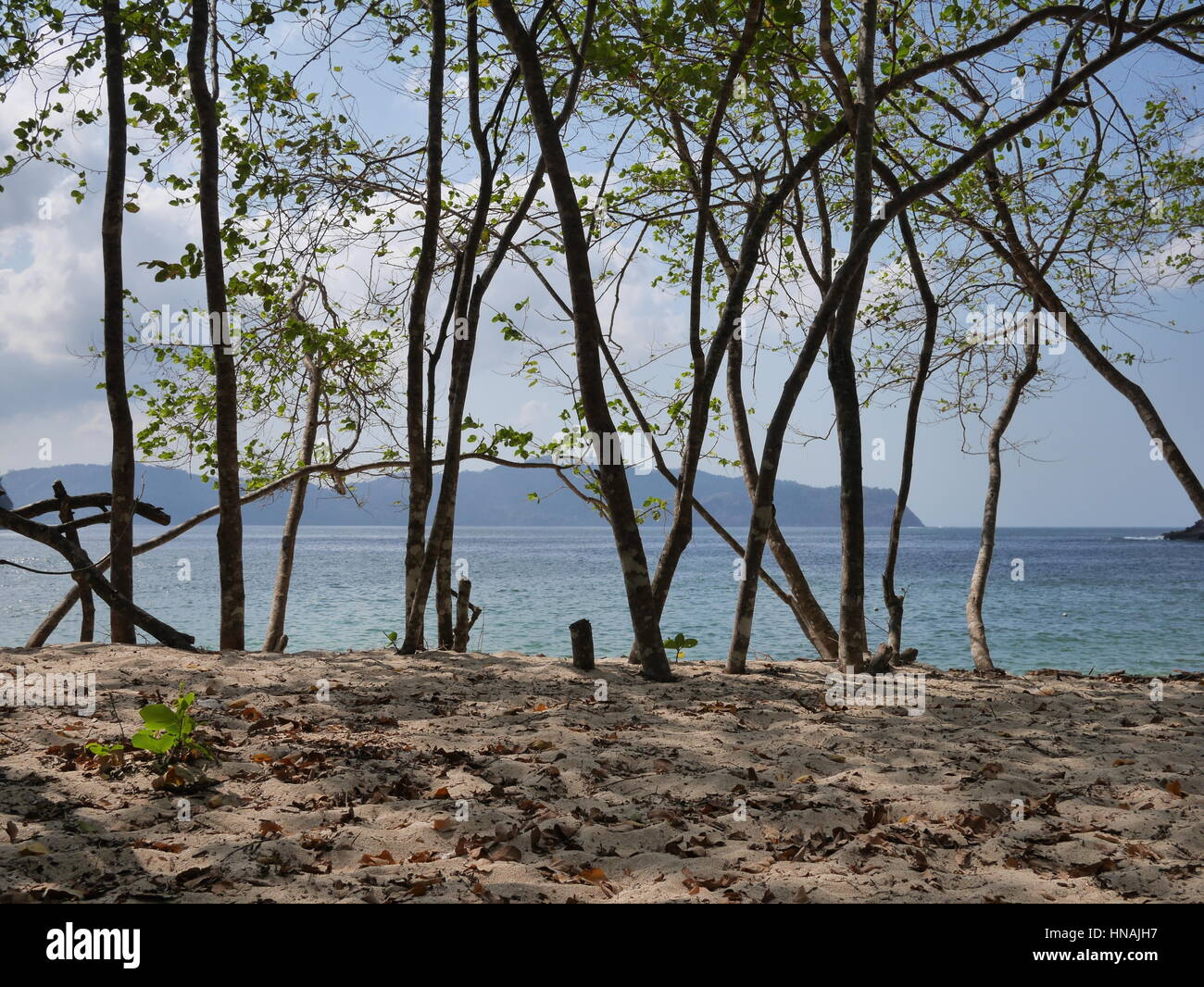 Indonesia, East Java, Banyuwangi, Teluk Ijo beach Stock Photo - Alamy