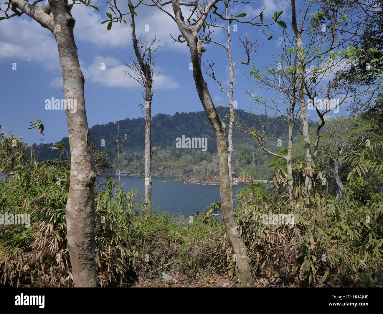 Indonesia, East Java, Banyuwangi, Teluk Ijo beach Stock Photo - Alamy