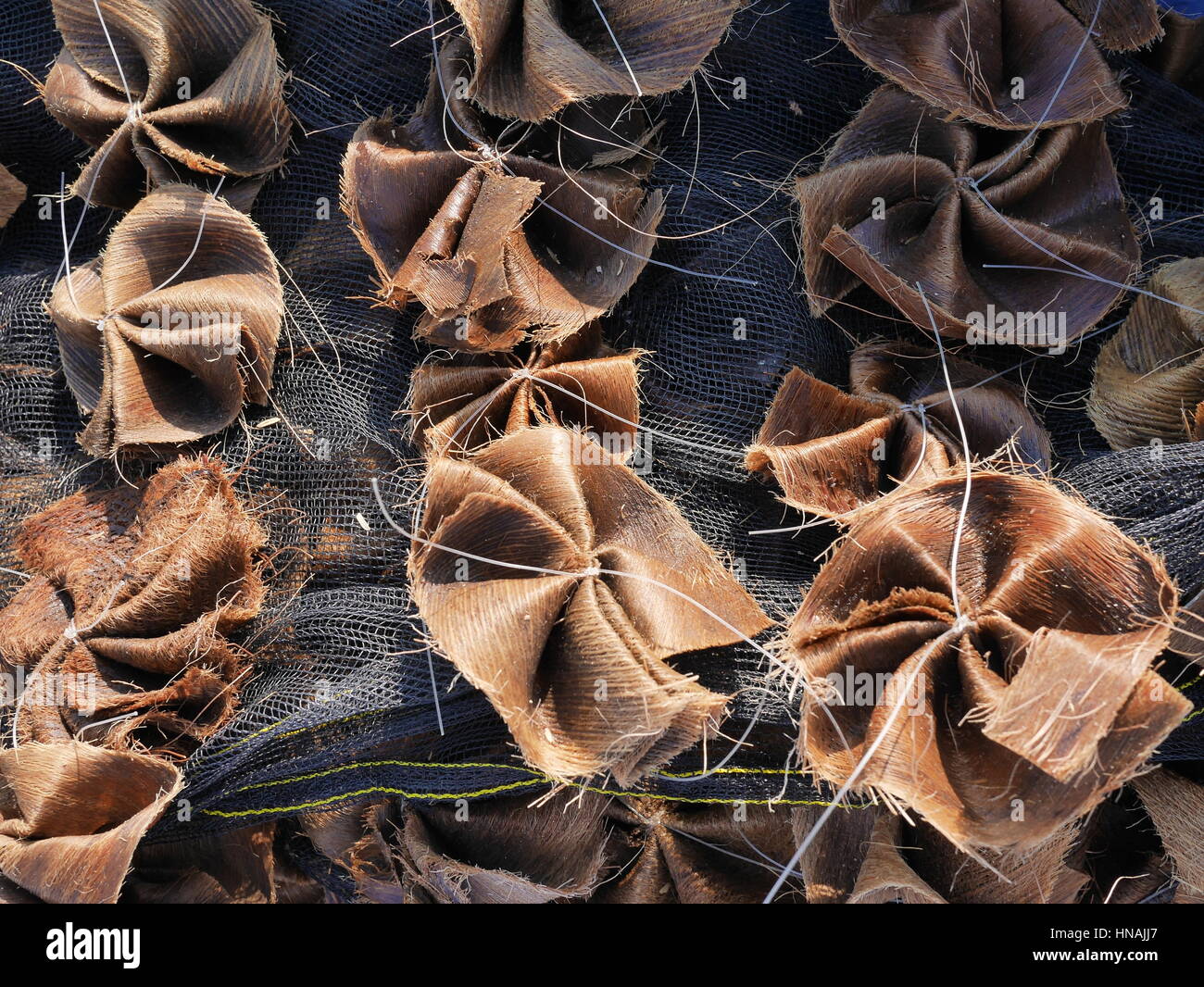 Indonesia, East Java, Banyuwangi, Mustika Pancar beach Stock Photo - Alamy