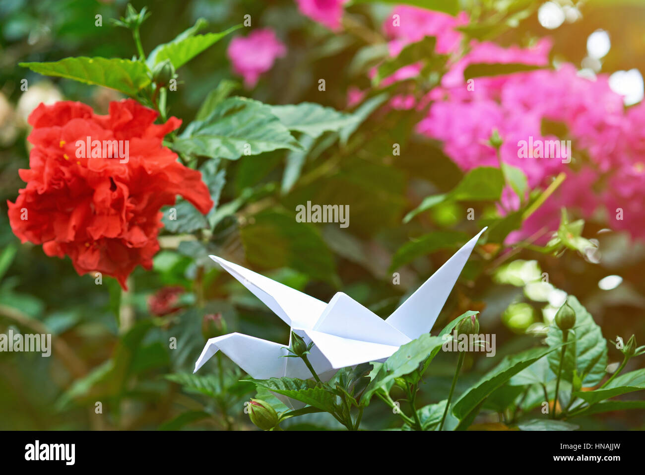 origami in colorful flower pink and red blur garden Stock Photo - Alamy