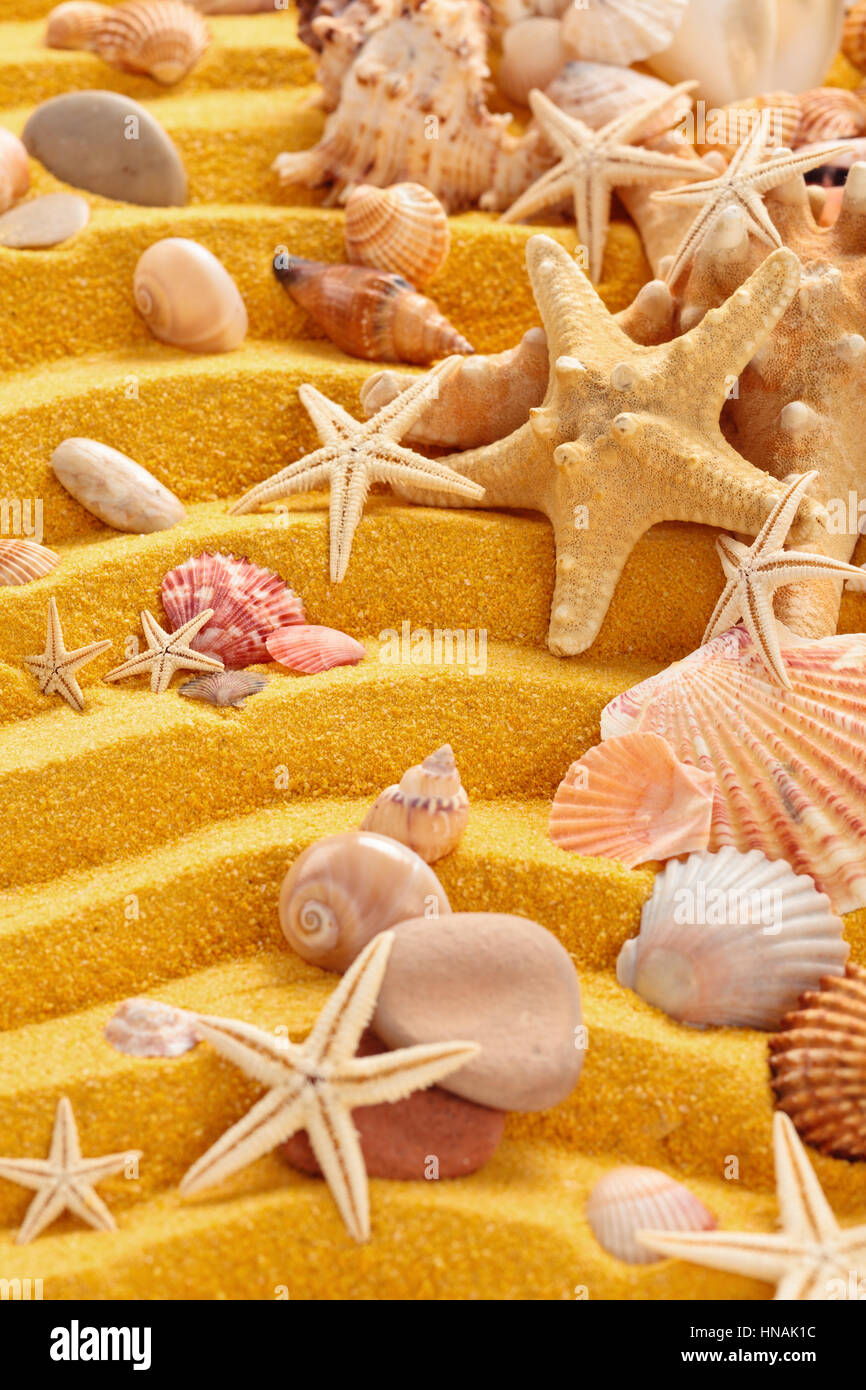 Background with yellow sand, shells and starfishes Stock Photo - Alamy