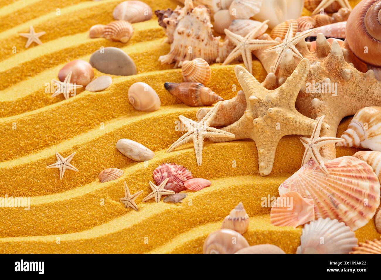Background with yellow sand, shells and starfishes Stock Photo - Alamy