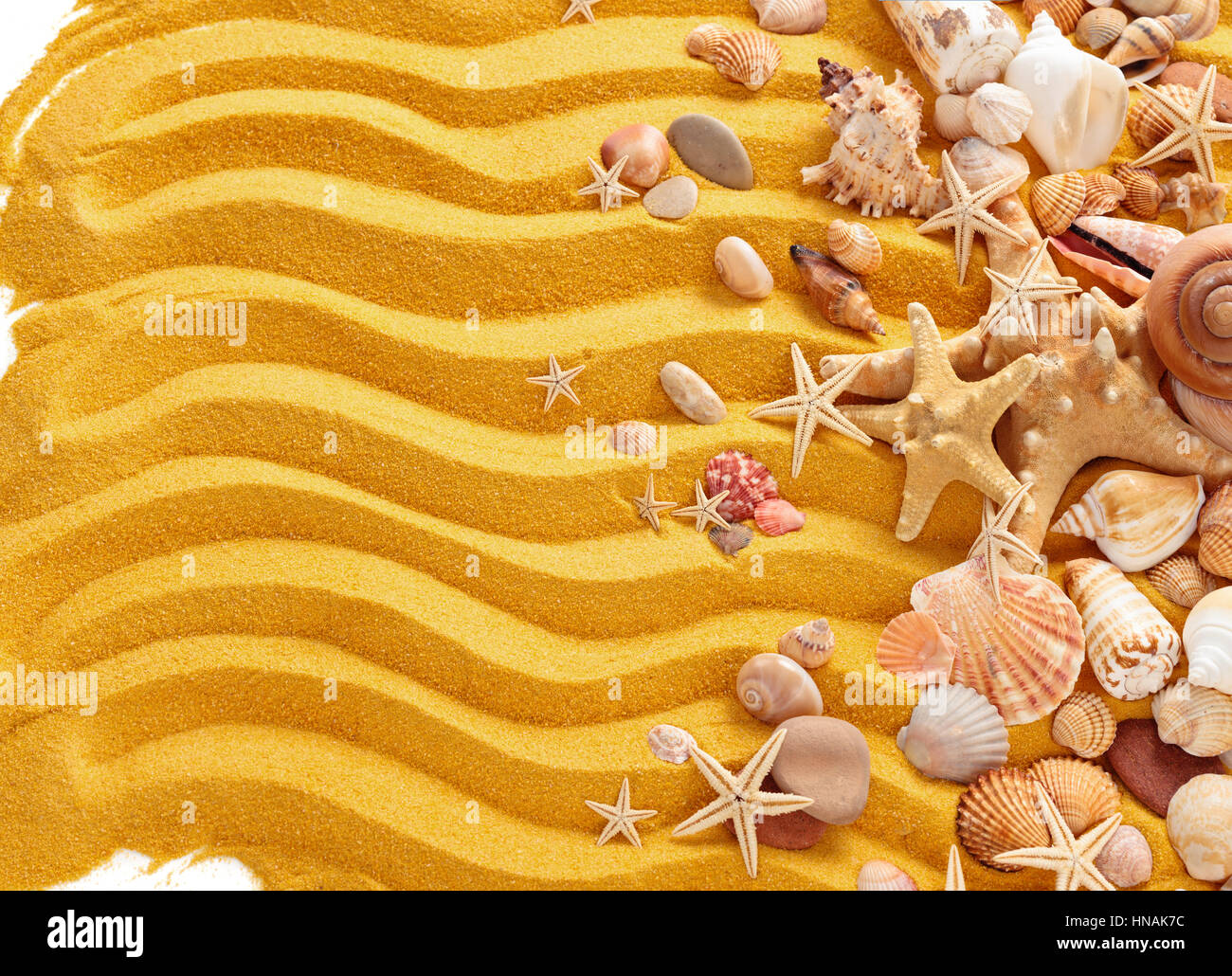 Background with yellow sand, shells and starfishes Stock Photo - Alamy