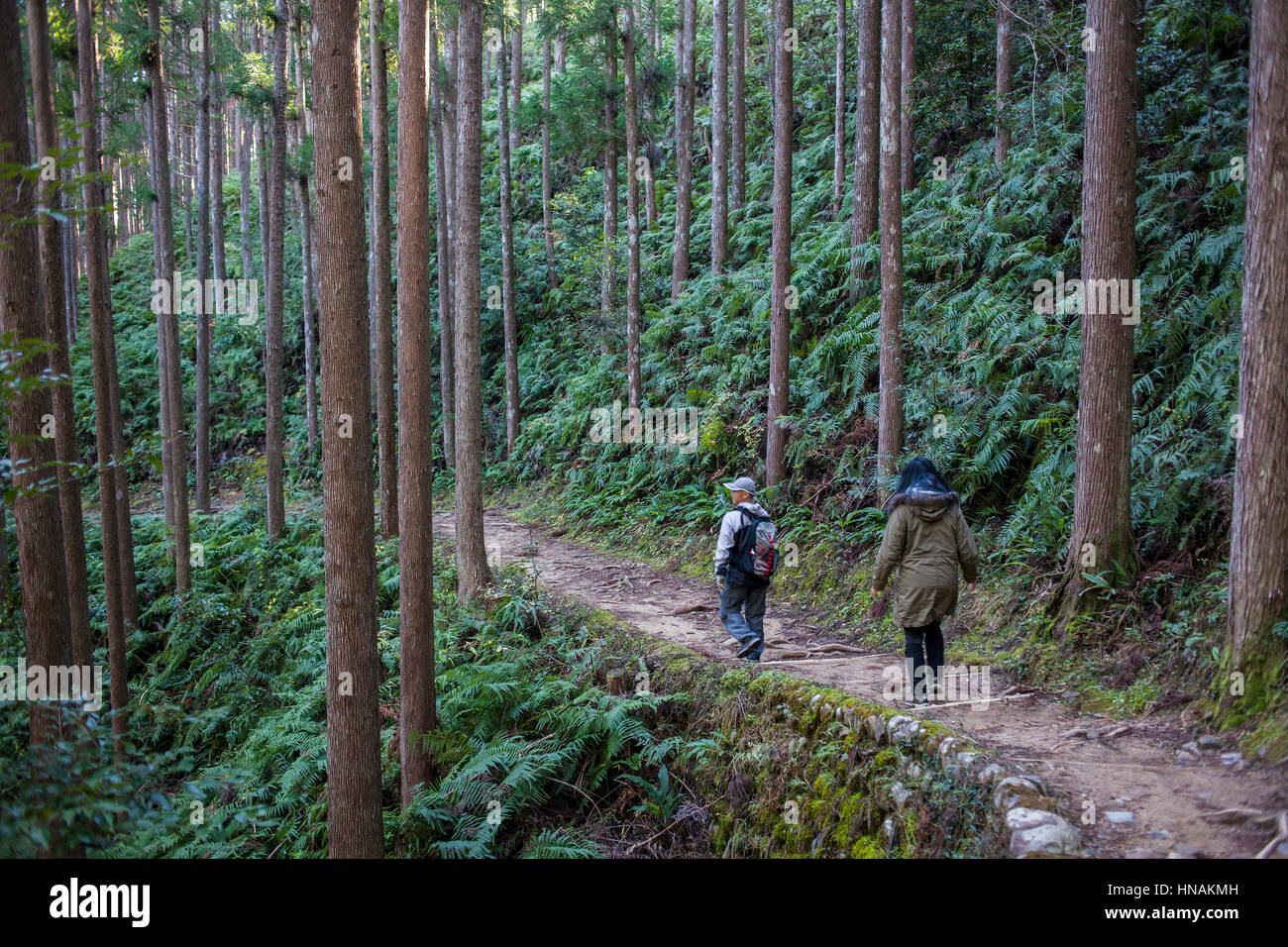 Japan kumano kodo route pilgrims hi-res stock photography and images ...