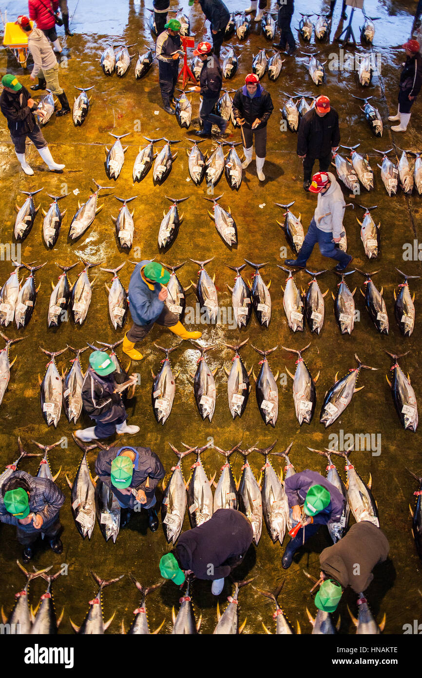 Ancient tuna hi-res stock photography and images - Alamy