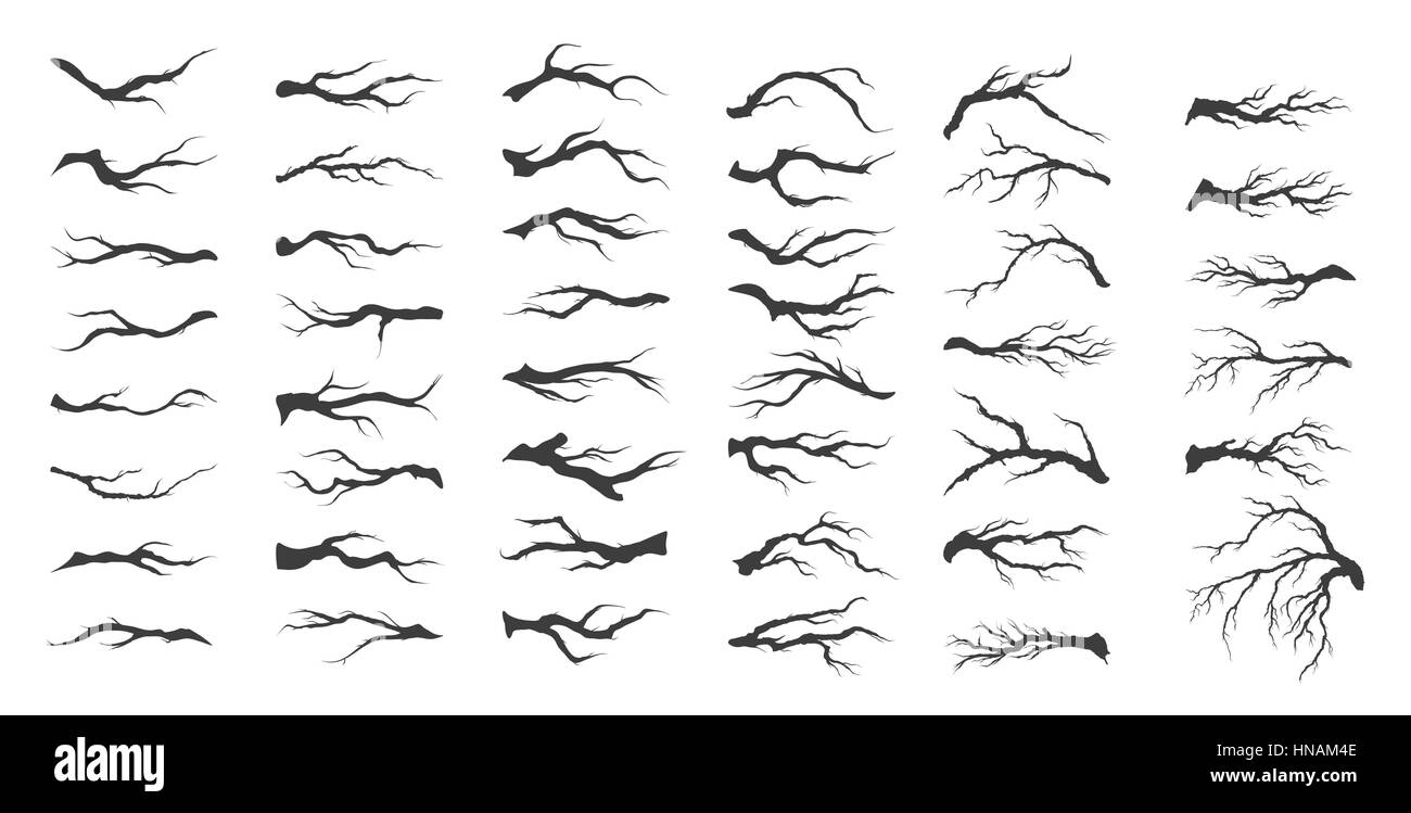 vector set dry tree branches on white background Stock Vector Image ...