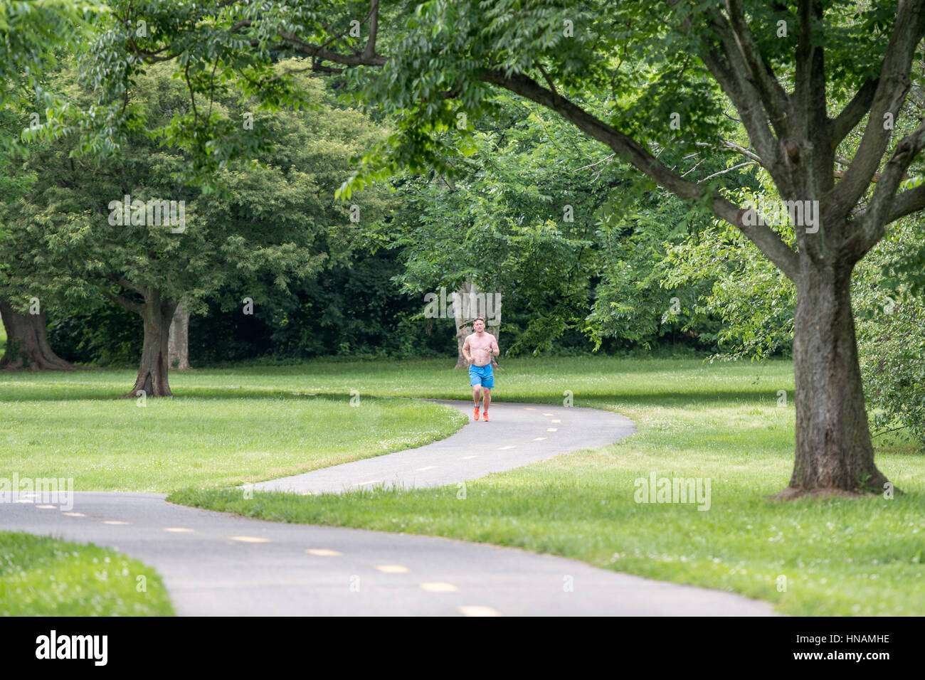 Jogging through nature hi-res stock photography and images - Alamy