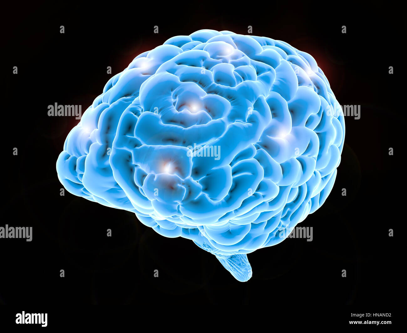 brain power concept with 3d rendering shiny human brain Stock Photo ...