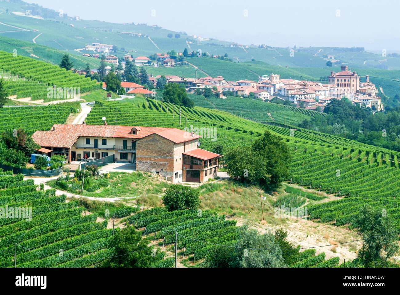 The vineyards at the village of Barolo in Piedmont,Italy Stock Photo ...