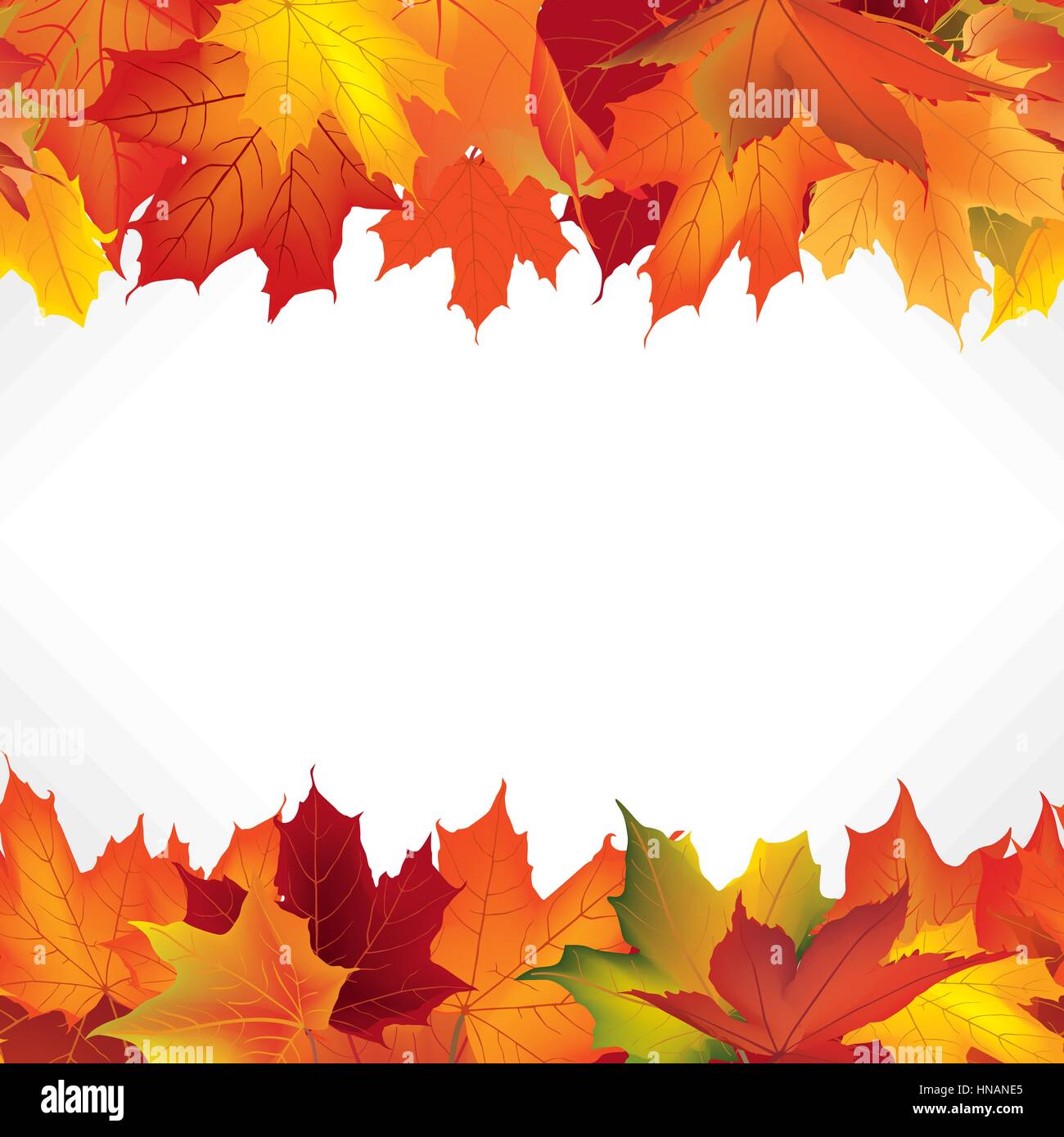 Fall Vector Border