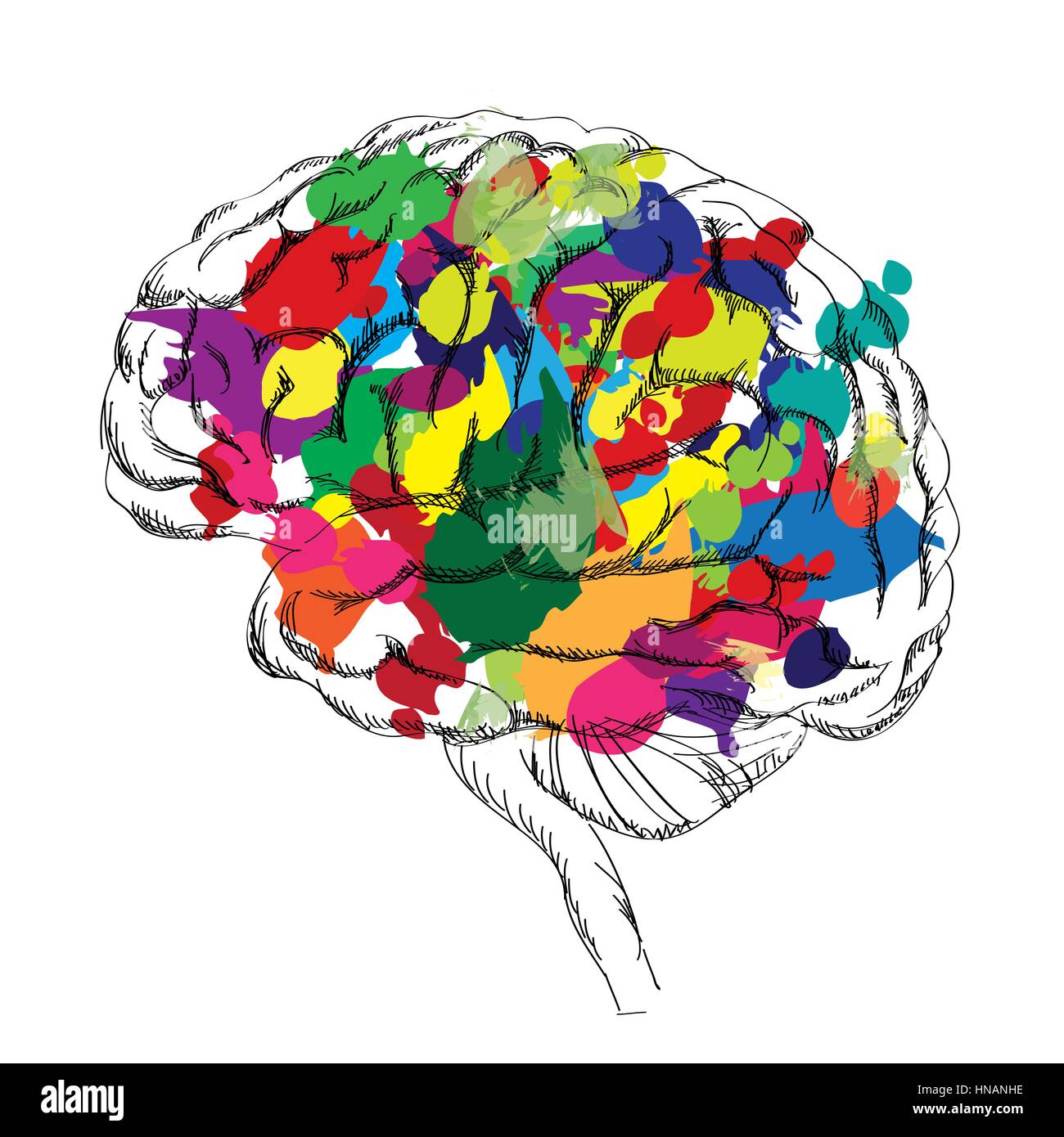 Bright Brain concept. Vector isolated Stock Vector Image & Art - Alamy