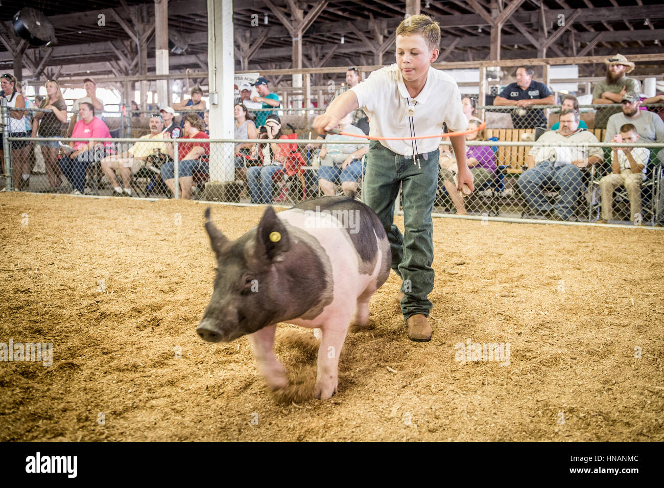 Timonium, Maryland - Young farmers showing their pigs at the 2016 ...