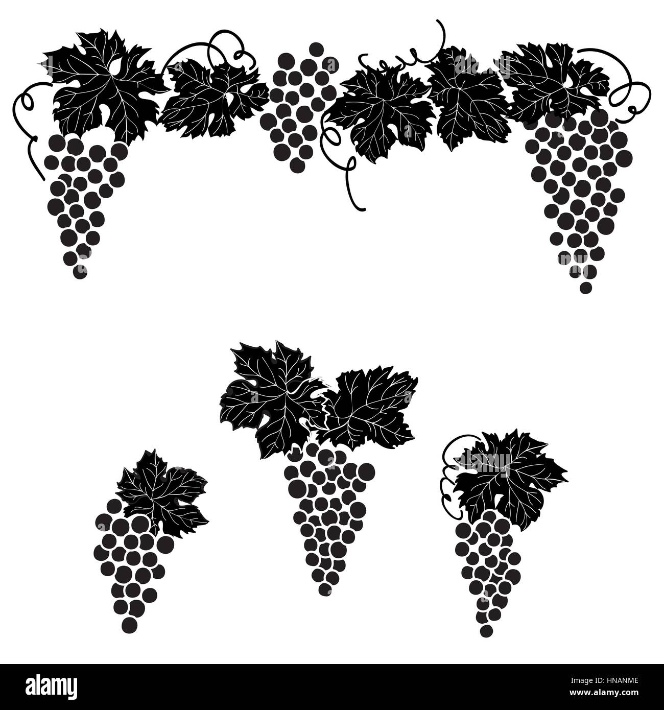 Vine grape ornament element decor set Stock Vector Image & Art - Alamy