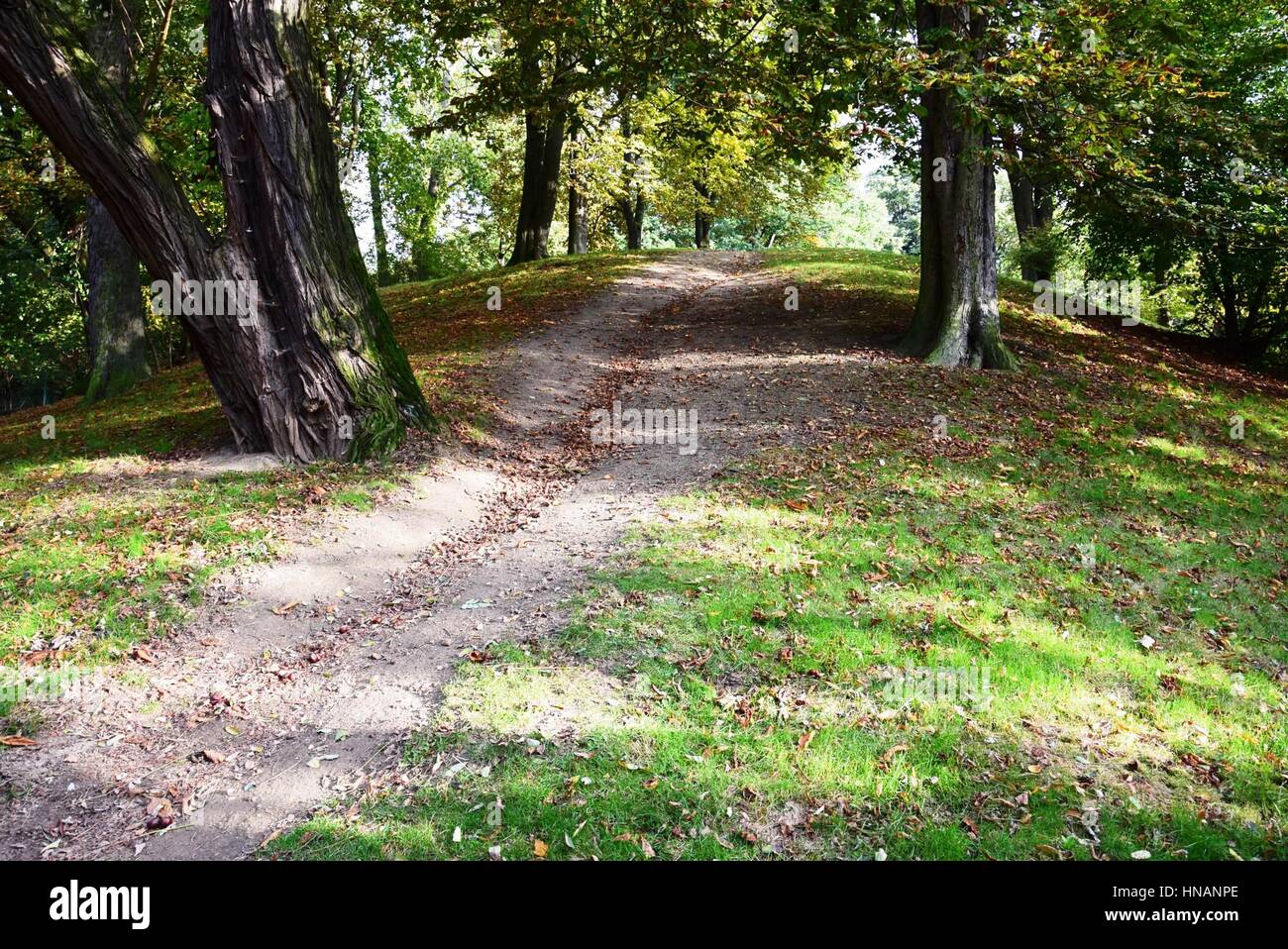 Walking path uphill to the pure nature of a small park Stock Photo - Alamy