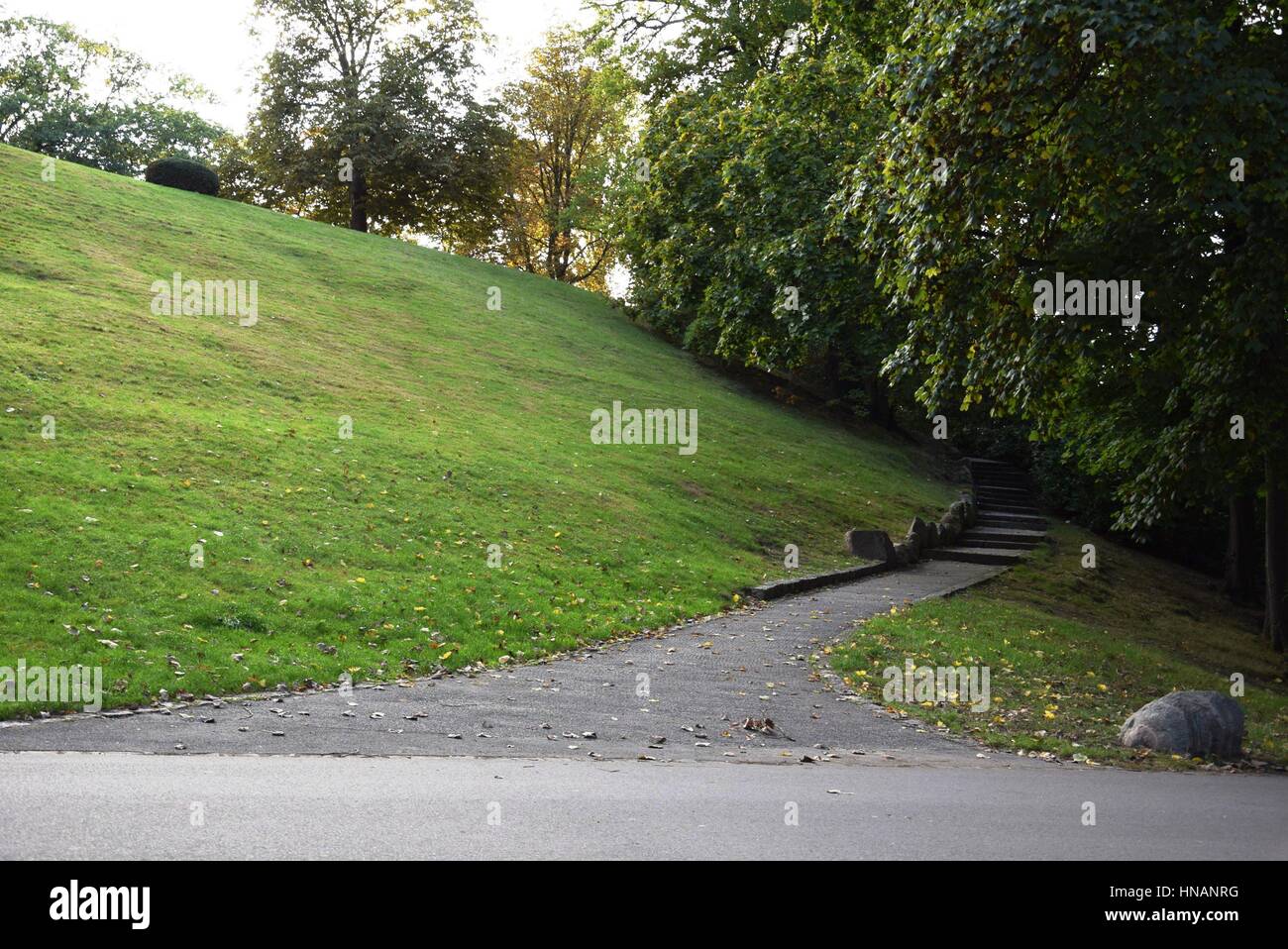 A beautiful uphill stone path leading to the calm shadows of trees ...
