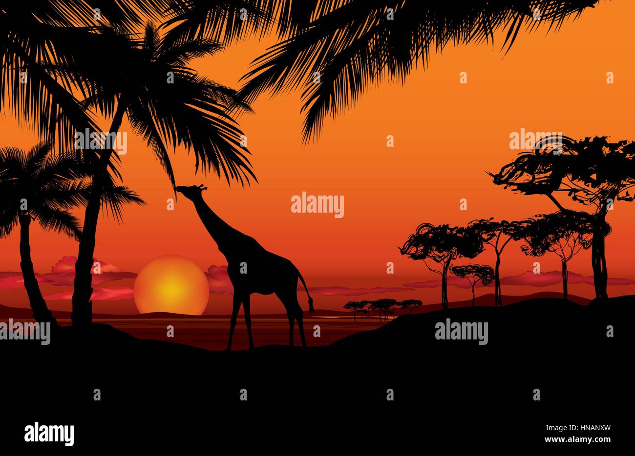 African landscape with animal silhouette. Savanna sunset background ...