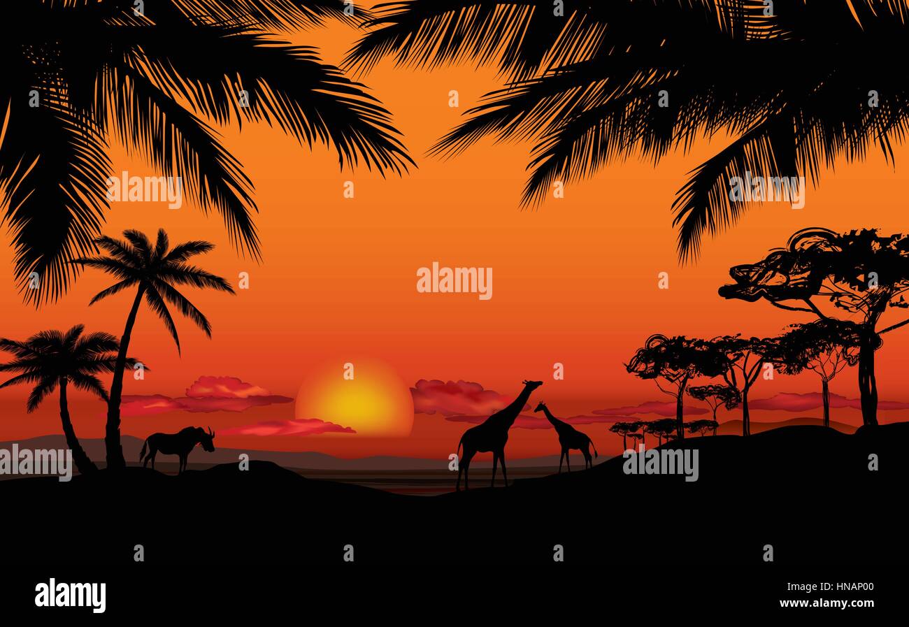 African landscape with animal silhouette. Savanna sunset background ...